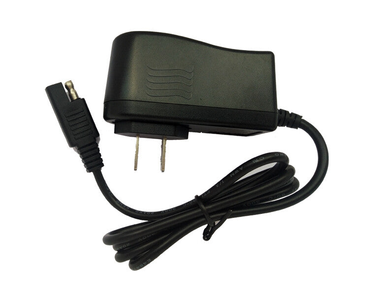 B Charger 6V for Quad ATV 4 Four Wheeler Ligtning Mcqueen batman Power ...